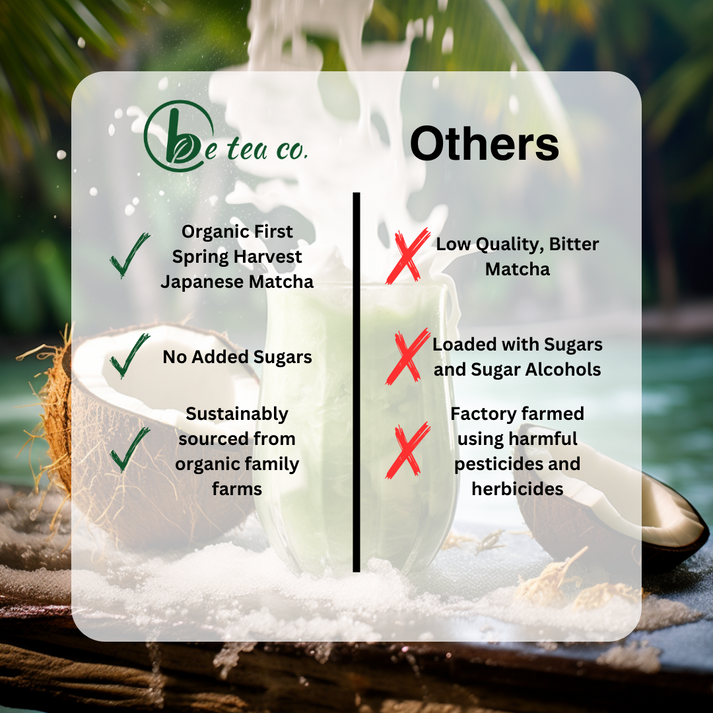 Coconut Matcha Latte | Organic Japanese Matcha